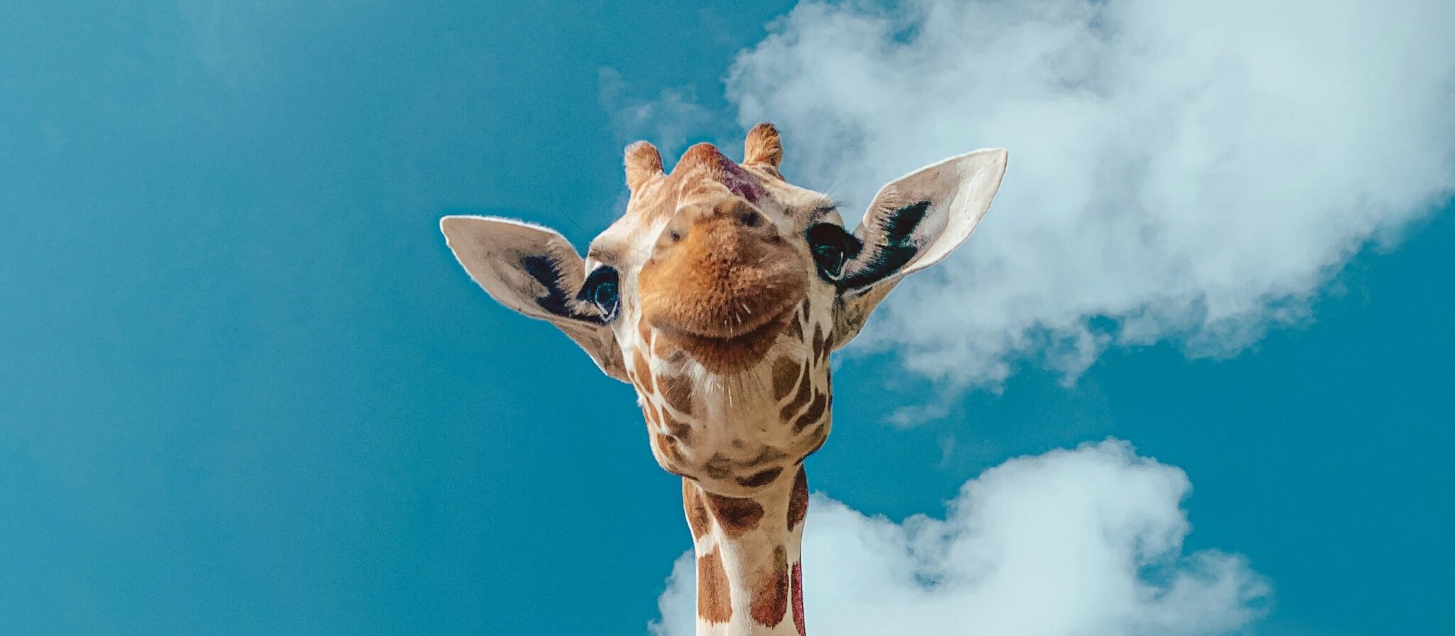 Start in die Sommerferien – ein inspirierender Tag im Zoo Dortmund ...